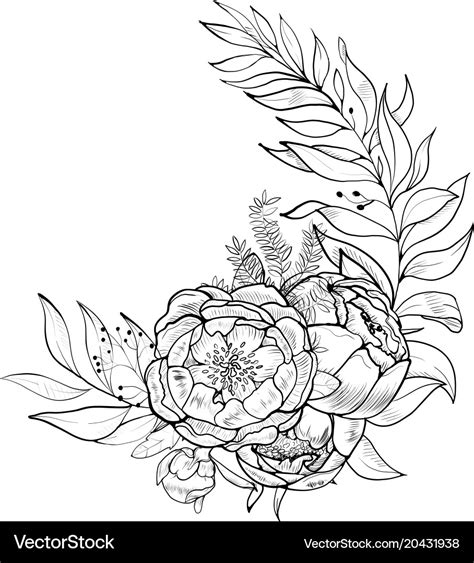 Bouquet Of Peony Element Of Design Royalty Free Vector Image