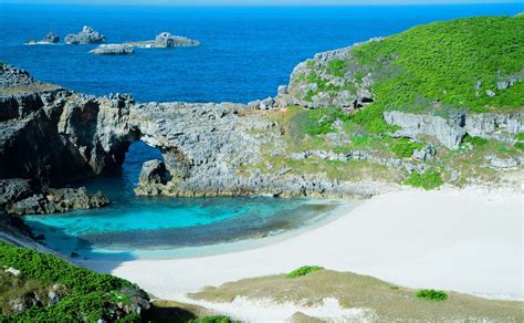 【父島】ウミガメの産卵・ふ化シーズン＆ふれあえるスポット 離島ガイド