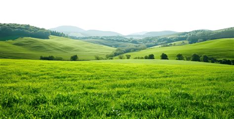 Green Grass Background Pngs For Free Download