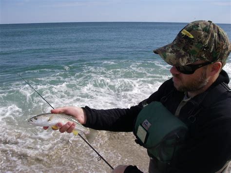 Weakfish Fly Fish South Jersey