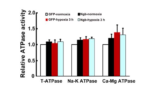 Fig S7 Effects Of Ngb Over Expression On T Atpase Na K Atpase