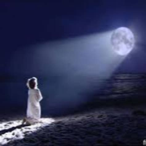 کتاب گردی با مُصَفّااز صفحه تا حقیقت تهران پادکست