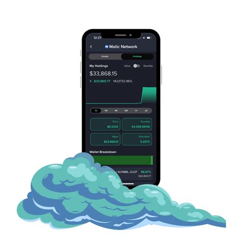 Track And Monitor Polygon Wallets Assetdash