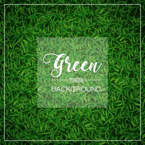 Premium Vector Green Grass And Leaves Texture Vector Illustration