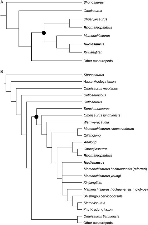 Figure 11 In Re Assessment Of The Late Jurassic Eusauropod Dinosaur