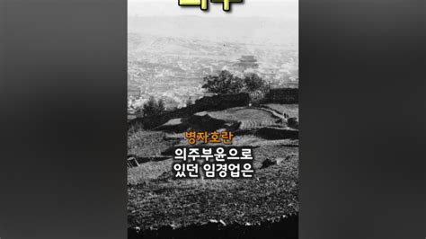 충주 임경업 네이버 Tv