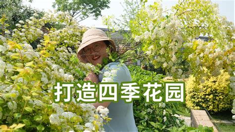 花园全年开花不断，重叠栽种的秘密 海蒂的花园 海蒂的花园 哔哩哔哩视频