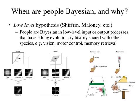 Ppt Bayesian Models Of Human Inference Powerpoint Presentation Free Download Id1467822