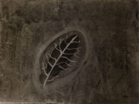 Reductive Value Of A Collard Leaf Jacobi Williams