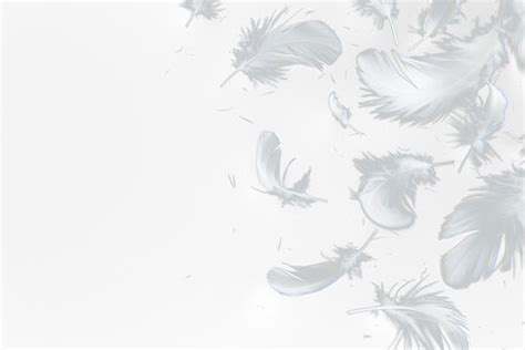 Feathers Falling Drawing