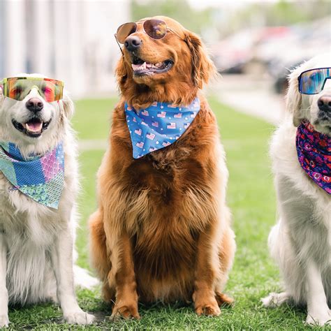 Sunglasses Shades Sunglasses