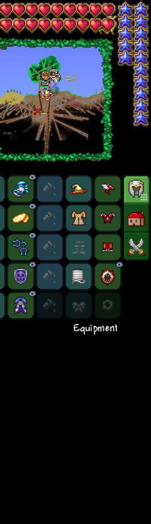 Which Accessory Should I Switch For A Mage Emblem R Terraria
