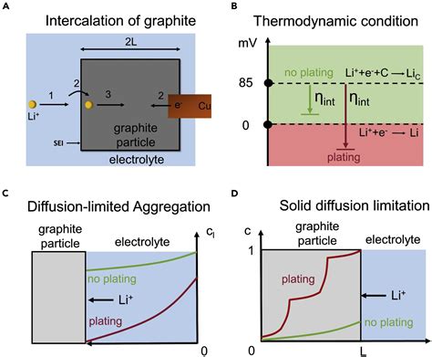 Interplay Of Lithium Intercalation And Plating On A Single Graphite