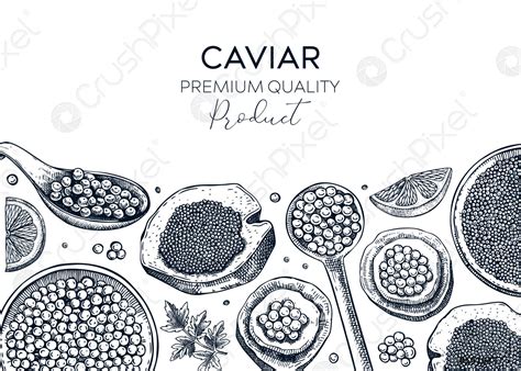 Seafood Background Design With Red Caviar Canape Canned Black Caviar