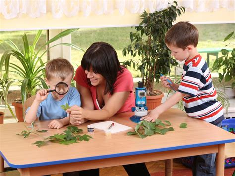 Typical Kindergarten Science Curriculum Worksheets Library