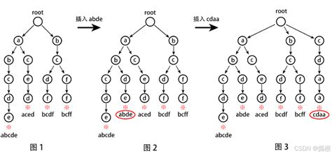 Trie树（字典树） Csdn博客