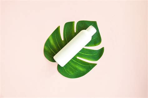 모자가 있는 흰색 플라스틱 화장품 로션 병 모형은 분홍색 배경에 몬스테라 식물의 잎에 놓여 있습니다 위생 미용 및 바디 스킨