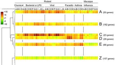 fragment of the hierarchical clustering dendrogram containing the