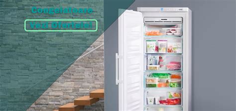 Congelatoare Verticale No Frost Mici Si Mari Incorporabile Sau Nu