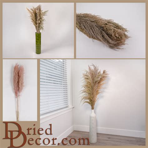 How To Create A Stunning Pampas Grass Arrangement In A Floor Vase