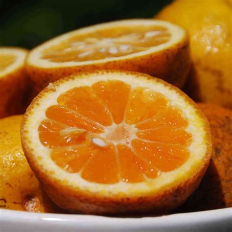 Refrescante Vodka Con Jugo De Naranja Receta Irresistible