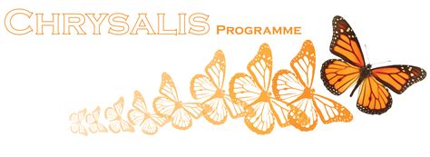 The Chrysalis Programme Your Consultation Group Trust