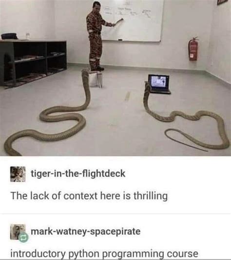 Introductory Python Rprogramminghumor