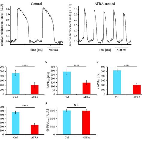 Differentiation Of Ipsc Into Three Germ Layers Formation Of Embryoid