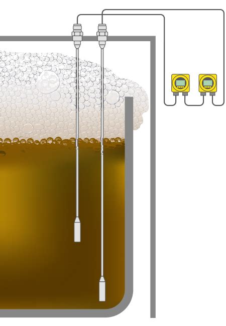 Froth Flotation Cell Level Measurement Vega