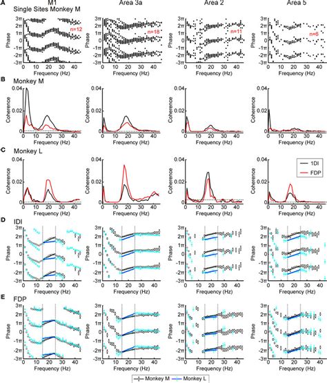 Lfp Emg Coherence A Overlaid Phase Frequency Plots From Individual