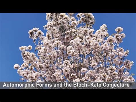Free Video The Cross Ratios Theorem Generalizations And Applications