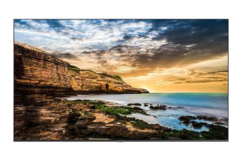 Monitor Led 50 pollici QE50T - Digital Signage negozio online