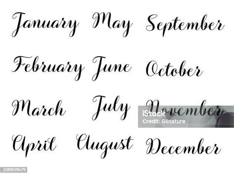 Month Names Cursive Typography Set Handwritten Calligraphic Outline