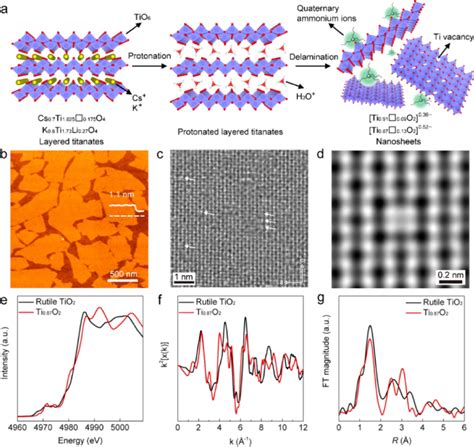 Formation Of Cation Vacancies In Ltmo Nanosheets A Schematic