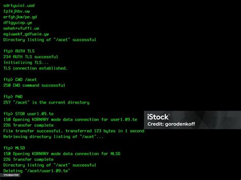 90년대 컴퓨터 디스플레이 모니터를 위한 레트로 파일 관리자 로그인 시퀀스 템플릿입니다 인터넷 스토리지에 사용되는 파일 전송 프로토콜 인터페이스입니다 이전 운영 체제에 대한