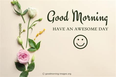 150 Amazing Good Morning Images Hd Will Set The Mood For The Day