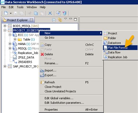sap tech implementing file loader transform in bods