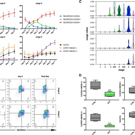 Stages 4 And 5 Produce Different Endocrine Cell Types A Daily Flow Download Scientific