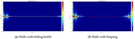 Human Activity Classification Based On Dual Micro Motion Signatures