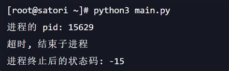 《asyncio 系列》13 在 Asyncio 中调用命令行程序 古明地盆 博客园