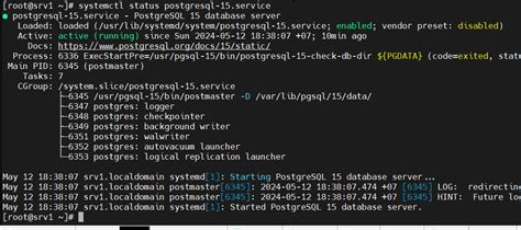 Cài đặt Postgresql Database Trên Oracle Linux 7 Datalinksvn