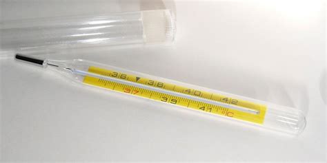 Why Is Mercury Used In Thermometer Is Mercury Harmful