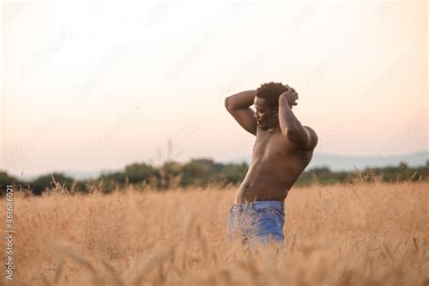 Sexual Man Posing Shirtless In Grain Field Stock Photo Adobe Stock