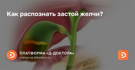 Как распознать застой желчи?
