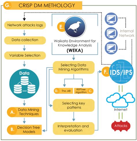 A Graphical Overview Of The Conceptual Framework Of This Research In Download Scientific