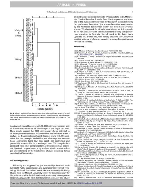 Neural Stem Cell Differentiation Pdf