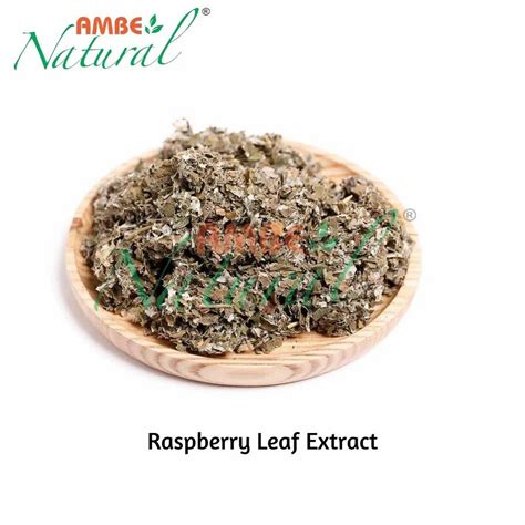 Raspberry Leaf Extract Form Powder Packaging Type Hdpe Drum At Rs 825kg In Ghaziabad