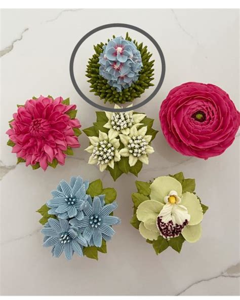 Uk Tutorials Dwarf Delphinium Uk Tutorials Dwarf Delphinium