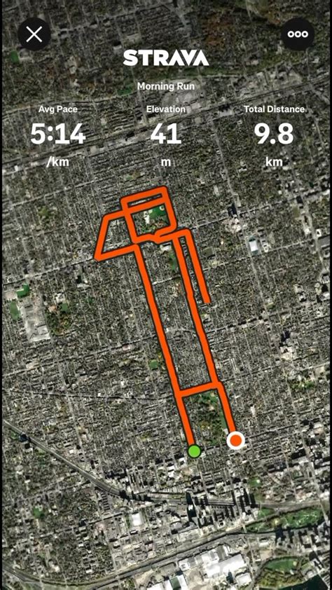 Duncan Mccabe I Turned My Summer Runs Into A Strava Animation 🦖🦒🦝🐳🦈 Toronto Running Strava