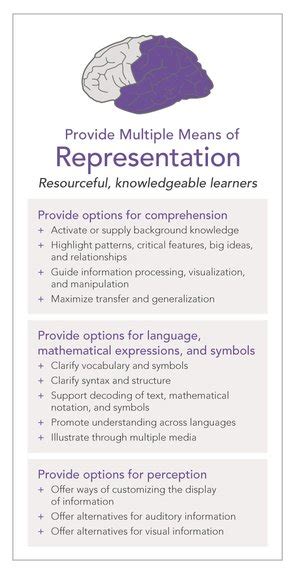 Multiple Means Of Representation